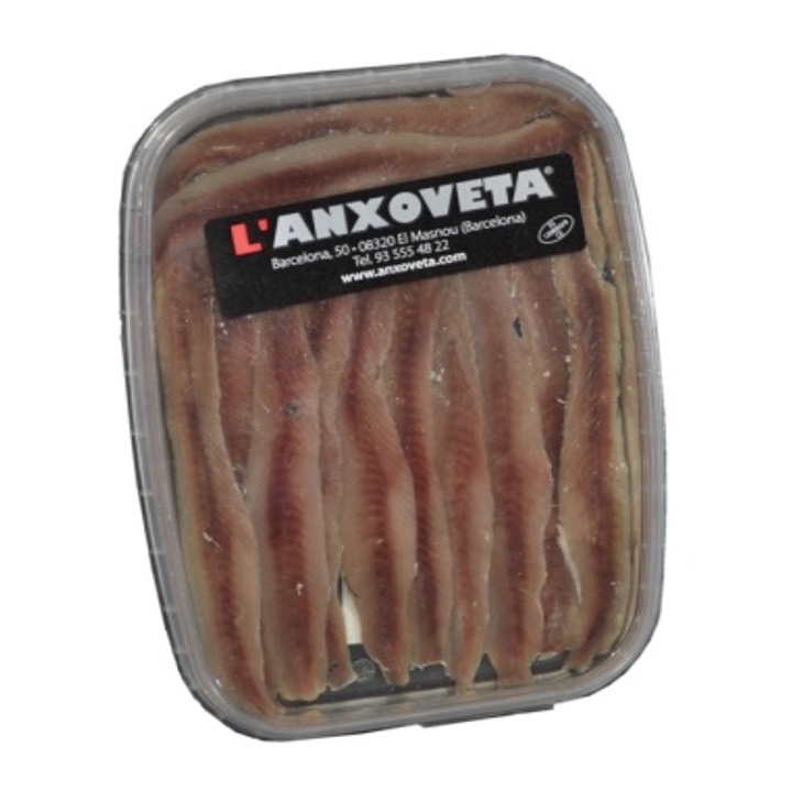 Atlantic anchovies: Terrine 12 fillets Atlantic